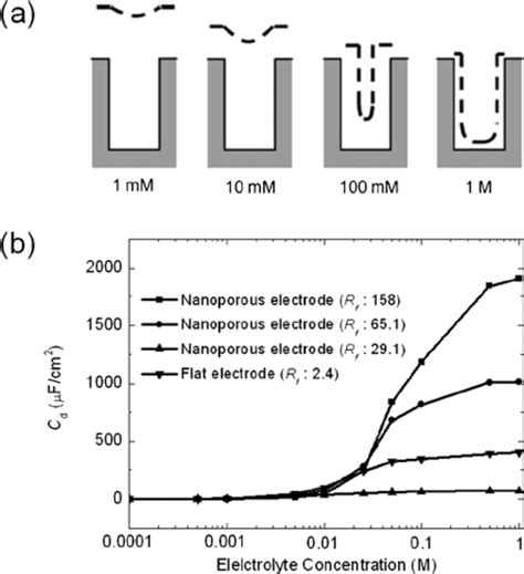 A Schematic Diagram Displaying The Shapes Of The Electrical Double Download Scientific
