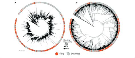 Maximum Likelihood Tree Of A Domains Recovered From Nrps Clusters