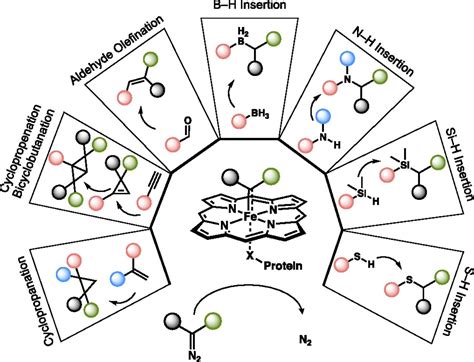 Catalytic Iron Carbene Intermediate Revealed In A Cytochrome C Carbene