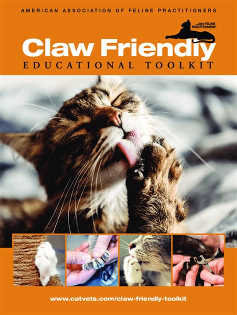 Fillable Online The Cat Friendly Practice Program Elevating Feline