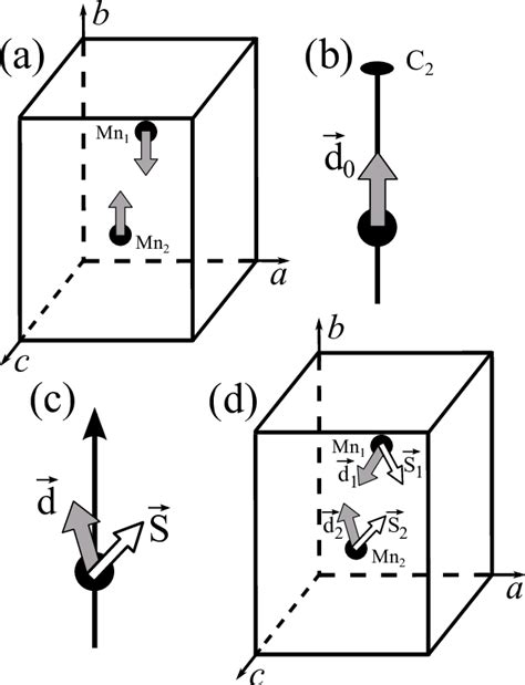 A Two Mn 2 Ions In The Monoclinic Unit Cell With Opposing Electric