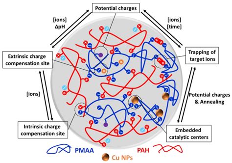 Molecules Free Full Text Weak Polyelectrolytes As Nanoarchitectonic Design Tools For