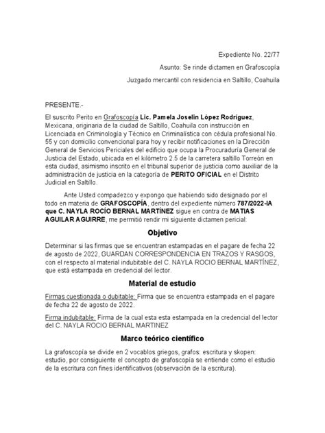 Dictamen Pericial Pdf Testigo Experto