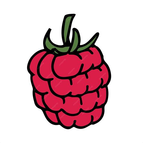 Raspberry Cartoon