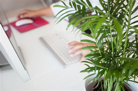 Ideas De Emprendimientos Digitales Rentables Cómo Identificar