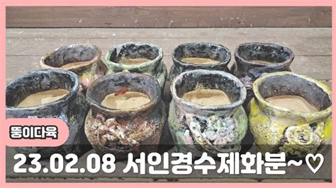 230208 서인경수제화분 서인경분서인경화분다육이화분다육화분서인경수제화분분갈이화분도소매문의 주문전화 010