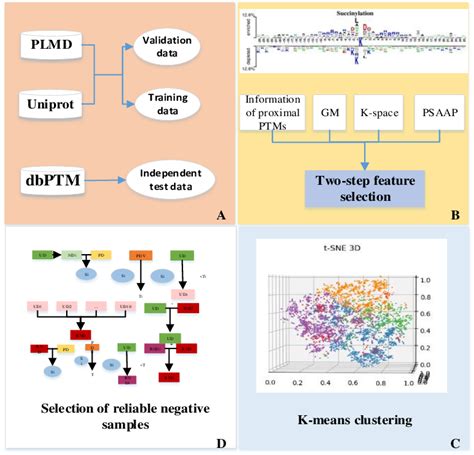 The Overall Framework Of Our Method Download Scientific Diagram
