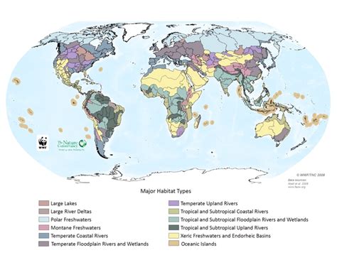 Aquatic Biomes Map Map Of The 14 Ocean Biomes Used In The Analysis 1