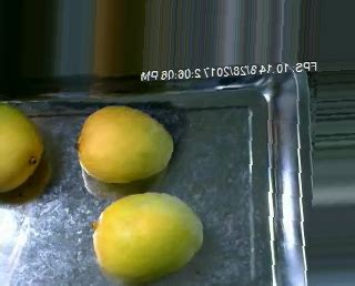 Mango Object Detection Dataset And Pre Trained Model By DataSetStudy