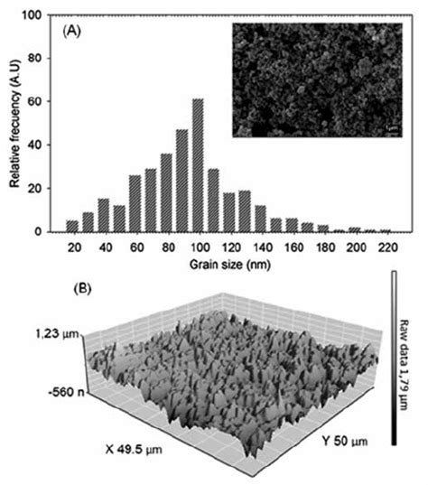Image De Etoile Imagej Sem Particle Analysis