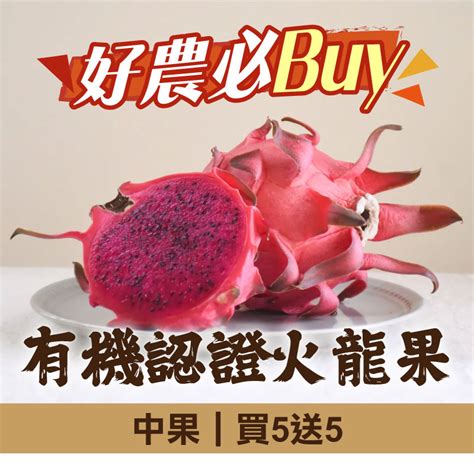買5送5 中果【關愛故鄉企業社】有機認證紅肉火龍果共10台斤12 14顆關愛故鄉企業社