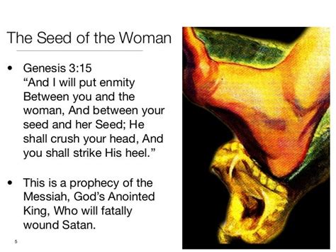 Seed Of The Woman