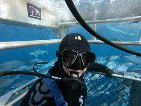 Rodney Fox Shark Expeditions Port Lincoln Tripadvisor
