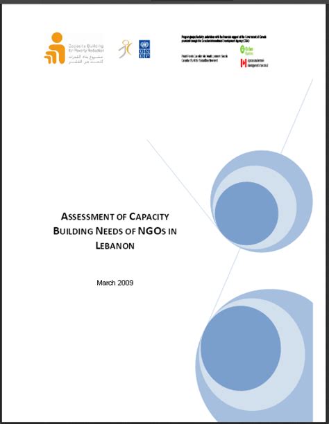 Assessment Of Capacity Building Needs Of Ngos In Lebanon United