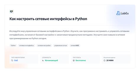 Настройка сетевых интерфейсов в Python руководство для начинающих Labex
