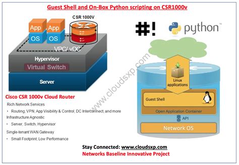 route xp private network services setup guest shell and on box python