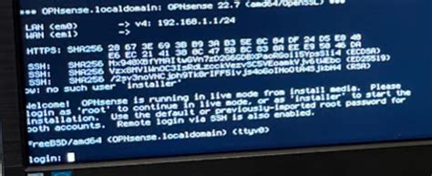 Installing OPNsense Works With The Web