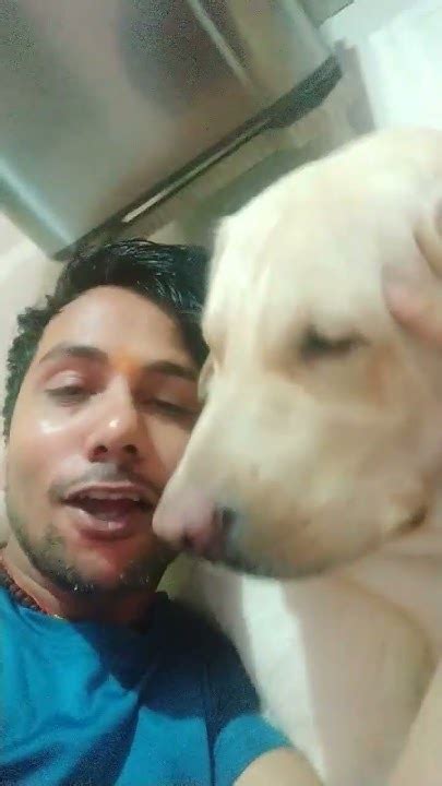 Dog Viralvideo Youtube