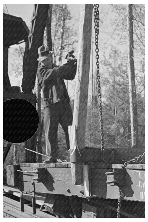 1937 Railroad Loading Device With Timber Near Effie Minnesota Knowol