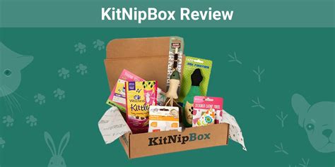Kitnipbox Review 2024 Our Experts Opinion Pangovet