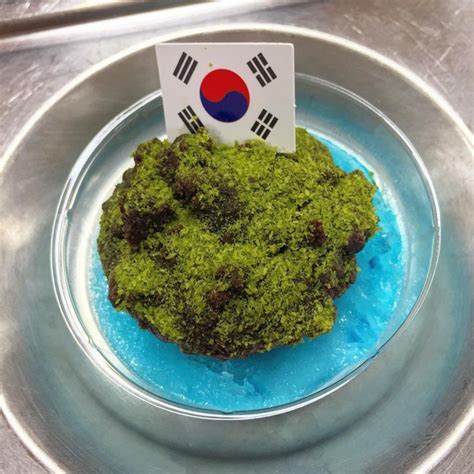 디너의여왕 독도의 날 아이들을 위한 특별한 선물