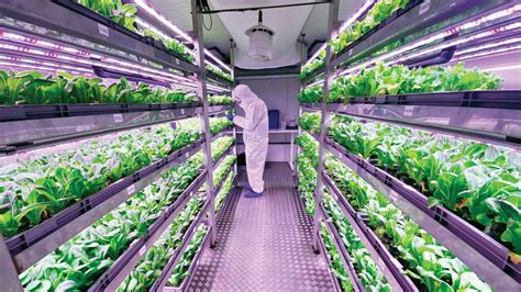 ucs named indoor farming company of the year by agtech breakthrough