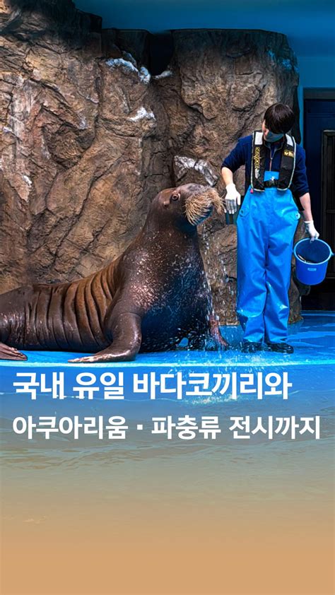 키즈뮤지엄 —— Exhibitions 4·5월 아이와 함께 관람하기 좋은 전시 8곳을 소개합니다 방문 전 운영 일정 및 이용 조건은 꼭 확인해보시길 권장드립니다