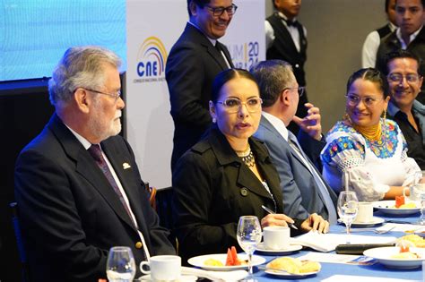 Vocal Alterna Del Cne Exige Que Los Principalicen