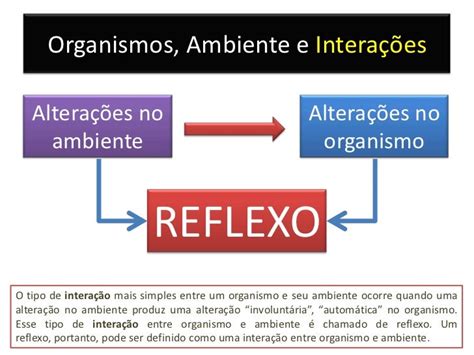 Reflexos Inatos Conceitos Básicos