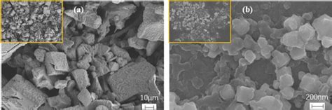 Micromorphology Of Melanin Extracted A And Purified B From L