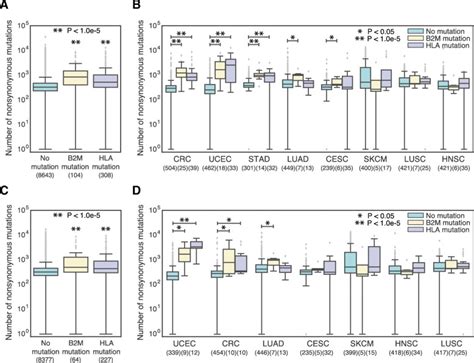 Elevated Neoantigen Levels In Tumors With Somatic Mutations In The Hla