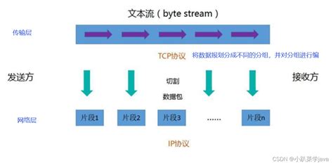 TCP协议详解 CSDN博客