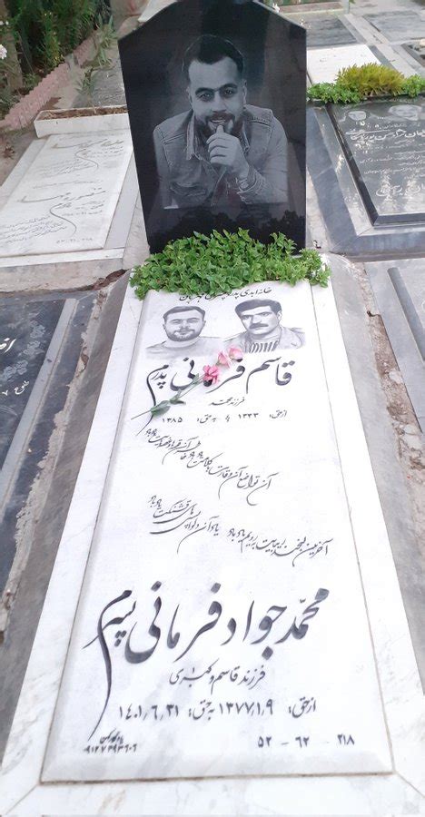 Mohammad Javad Farmani Ausiran