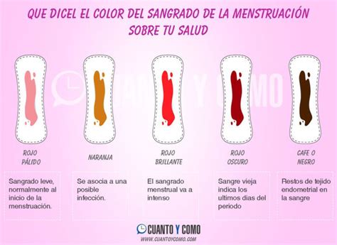 Cuanto dura el PERIODO MENSTRUAL Duración y datos importantes