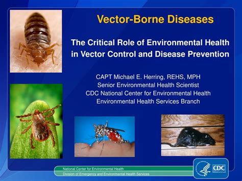 Ppt Vector Borne Diseases Powerpoint Presentation Free Download Id
