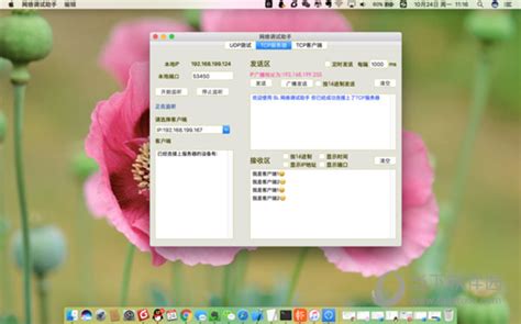网络调试助手mac版网络调试助手 V10 Mac版下载当下软件园 网络调试助手mac版网络调试助手 V10 Mac版下载当下软件园
