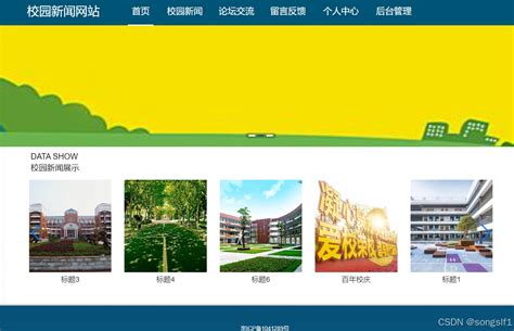 【毕业设计课程设计】免费校园新闻网站 源码文档pptjava Springboot Vue Web校园新闻网站源代码 Csdn博客