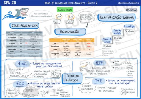 Mapa Mental Cpa 20 Mod5 P2 Lucas Silva Pdf