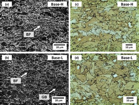 Sem And Optical Micrographs Of The Ac Base H And Bd Base L