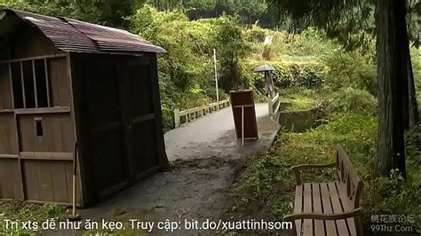 Woman Lost In Forest Sex With Two Men