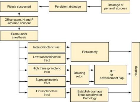 Anal Fistula Clinical Tree