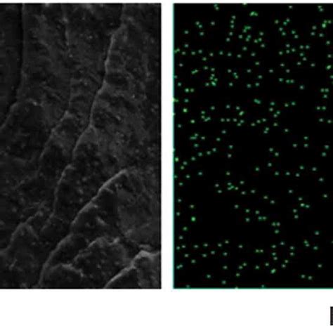 Typical Curing Curve For Rubber Compound Download Scientific Diagram