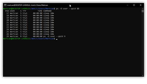 Job Control To Background And Foreground Command In Bash