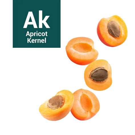 Apricot Kernel Oil Organic Dauphine Organics