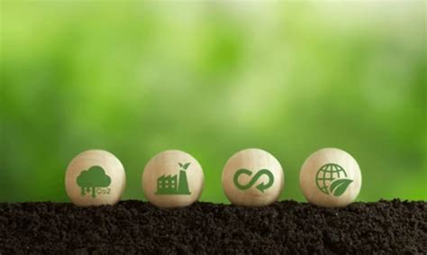 Life Cycle Assessment Lca And Carbon Footprint Polo Tecnologico Per L