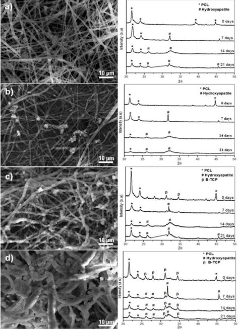 micrographs of the fibers a pcl b pcl β tcp 1 wt c pcl β tcp