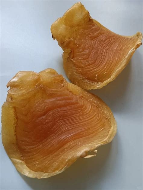 專業師傅免費鑒定 回收花膠 赤嘴膠 鳘魚膠 房膠 蜘蛛膠 白花膠 燕窩 鮑魚 海參 等 健康及營養食用品 健康補充品 健康補充品