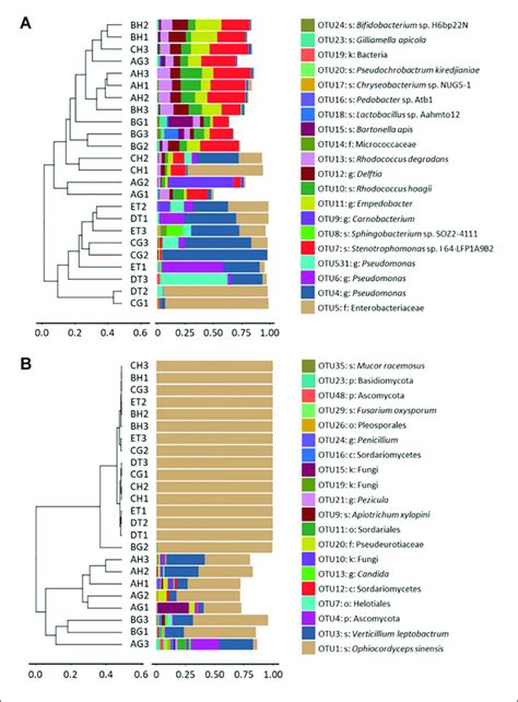 clustering analysis of beta diversity based on the bray curtis