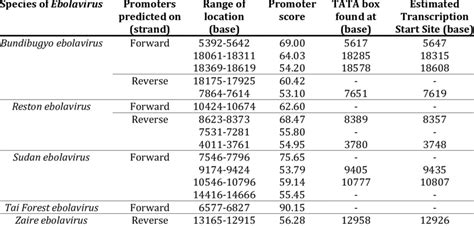 Identification Of Putative Promoter Motifs In Different Species Of