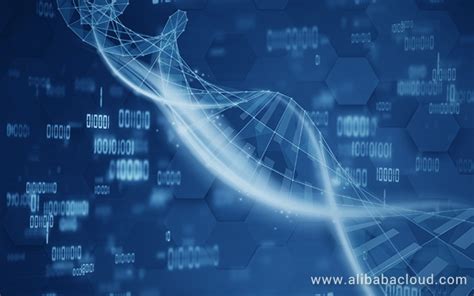 How To Work With Blob In Mysql Database Hosted On Alibaba Cloud